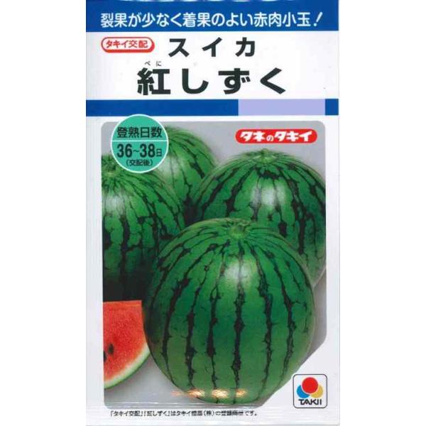 ●果重2.5〜2.8kg程度の小玉種。●果形は高球。変形果が少なく秀品率が高い。●裂果が少なく、小玉種によく見られるヒビ裂皮も少ない。●糖度は比較的安定し、シャリ感にすぐれ食味がよい。●低温少日照下でも雌花の着生がよく、花粉の出がよいので着...