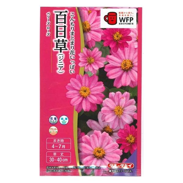 ●暑さに強く育てやすい一重咲の品種です。●枝分かれも多く夏花壇でたくさんの花が咲き長期間楽しめます。●植え付け後もきれいな株姿を保ちます。