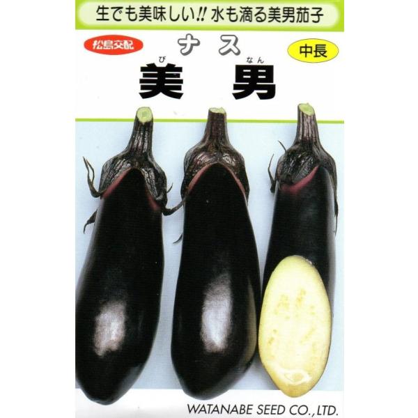 ●みず茄子特有のみずみずしさにやわらかさを呈する中長系の品種です。●果の長さは目的によって収穫でき、果形も揃います。●果は中長系で、目的によって小ナス〜中ナスまで収穫できます。●草勢は旺盛で、着果数も多く、露地長期栽培に好適です。●果色は光...