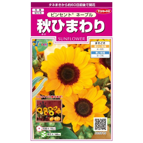 ●濃いオレンジ色の花弁と中心部の濃黒色のコントラストが美しい品種です。●シャープな花弁は重ねがよく数も多いのでボリューム感があります。●花粉が出ないので切り花やアレンジにおすすめです。＜タネまき＞●発芽適温20〜25℃が必要です。●花壇やコ...