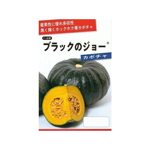 ●成熟日数45〜50日の黒皮大玉品種。●草勢は強いが雌花はよく着生し、着果性が優れる。●果実は偏円形で2.0kg前後。●果皮は濃い黒緑 色で貯蔵後の変色が少ない。●果肉は黄橙色。●粉質で甘み強く食味が優れる。●黒皮品種は収穫から長期間経過す...