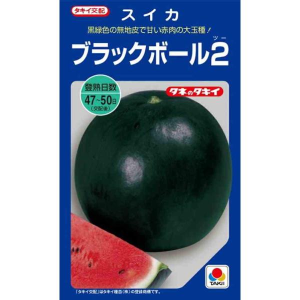 ●黒光りした濃緑色の果皮が印象的な高球形のスイカで、果重7kg程度の大玉種。●糖度は11〜12度で安定し、果肉色は鮮紅色。●肉質はかためで歯応えのある食感が楽しめる。●草勢は中位よりやや強く、着果も安定し果ぞろい良好。＜栽培の要点＞●中間・...