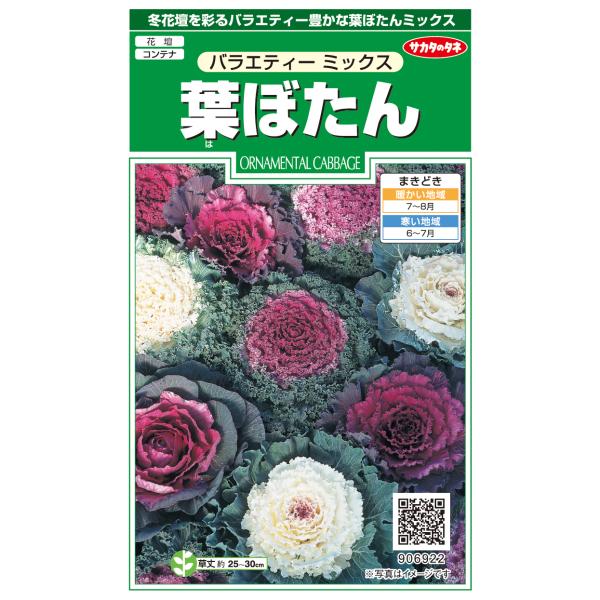 ●東京丸葉、大阪丸葉、名古屋ちりめんなど様々な型と色の混合種です。●タネまきの時期や方法によっては、大株の花壇用や小株の寄せ植え用、小鉢の多粒まき栽培など多彩に利用できます。
