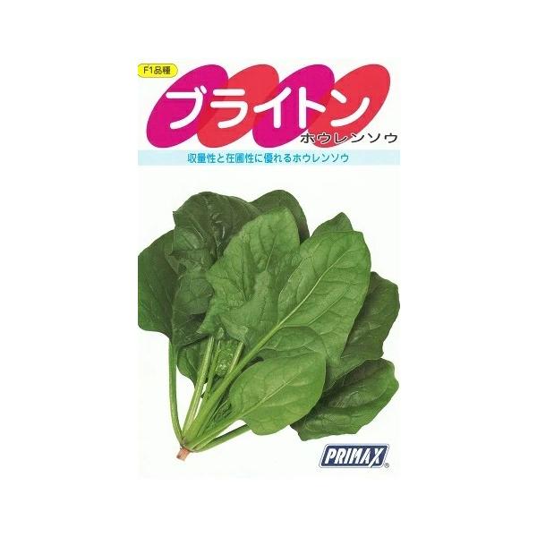 ●極晩抽性の交配品種で、萎凋病に耐病性がある。●葉軸が太く充実し、収量性が高い。●収穫期前後の生育速度が比較的ゆっくりしているため、在画性がある。●とう立ちが遅く、萎黄病やべと病に強い。●葉は広く濃い緑色で、浅い切れ込みが入ります。●株張り...