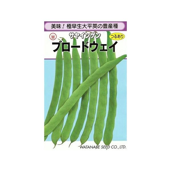 ●やわらかくおいしいジャンボサヤインゲンです。●莢は平莢、鮮緑色で、収穫サイズは幅2cm、長さ20〜25cm位です。●極早生の豊産種で、低節位からよく着莢します。●つるの出が早く、生育が旺盛で、栽培は容易です。＜栽培ポイント・注意点＞●過湿...