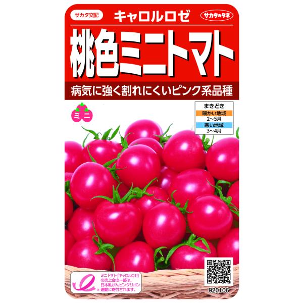 ●病気に強く、草勢も旺盛な、スタミナのあるピンク色系ミニトマト。●肉質がしっかりしているので日持ちがよく、裂果も少ないので完熟果を収穫できます。