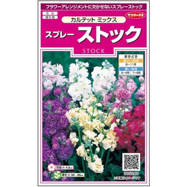 ●香りが強く切り花向けに改良された品種です。茎の上部でスプレー状に3〜5本分枝して花が咲きます。●豪華な八重咲と清楚な一重咲きのカラフルな混合種です。●フラワーアレンジメントに向きます。