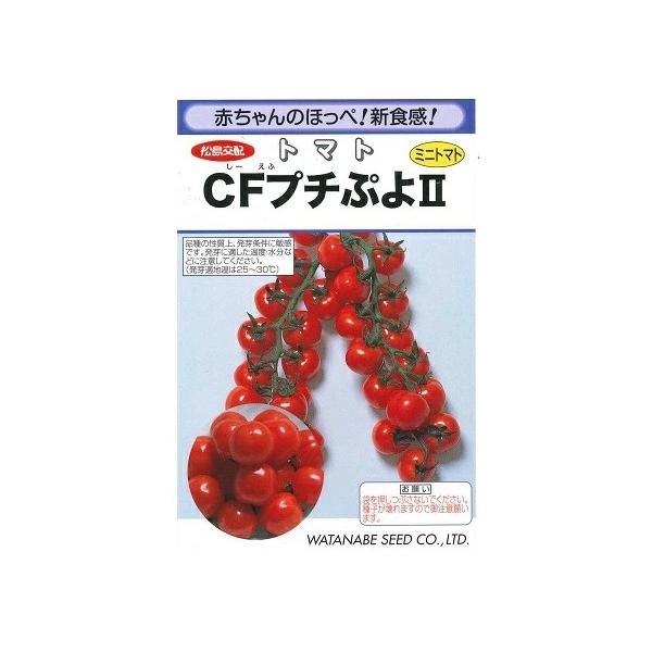 ●果皮が極く薄く、とろけるような食感のミニトマトです。●糖度が高く、トマトの風味に富んで食味は極良です。●果実は赤色で、強い光沢があり、一果重13〜15g程度です。●果皮に弾力があり、ほとんど裂果しません。●葉は淡緑色で、節間は短く、草勢は...