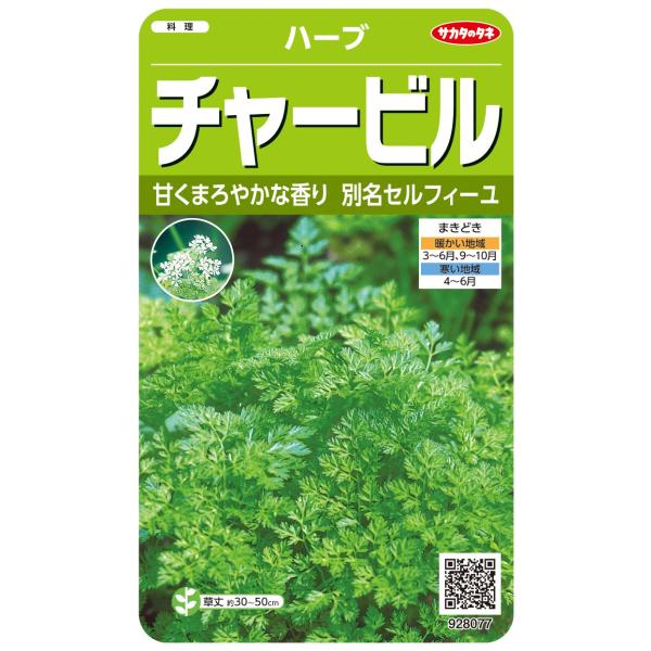 ●グルメのパセリまたは、セルフィーユともよばれ、フランス料理でもよくつかわれるハーブです。●甘くまろやかな香りのする葉を刻んで、白身の魚料理や卵料理のほか、サラダの風味付けやスープの浮き実などに利用します。＜タネまき＞●強い日ざしや移植をき...