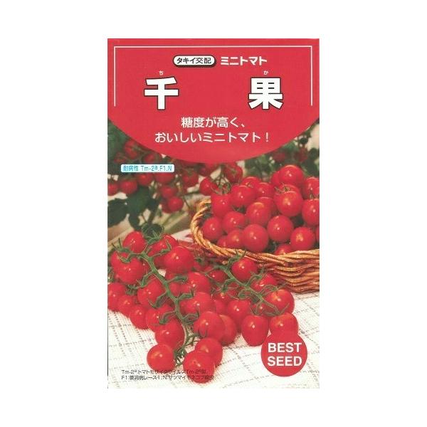 ●濃赤色でツヤのある果色 果色は鮮赤色で美しい光沢がある。●果重は15〜20g。●果形はきれいな球形で果ぞろいがよい。●高糖度で、食味が特にすぐれる。●糖度は8〜10度。●「ココ」に比べ低段から安定して糖度が高く、緻密な肉質で食味が特にすぐ...