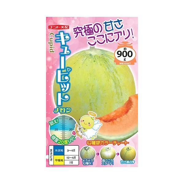 ●高糖度の「プリンス」系メロンをぜひ家庭菜園で！ ●果実は800〜900gの球形。●外皮は淡い灰緑色で、成熟すると黄色く発色。●果肉は厚く、色は美しいサーモンピンク。●開花後40〜43日で収穫できる早生種。●糖度はコンスタントに17〜20度...