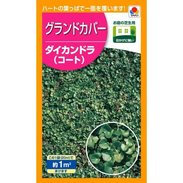 ●ハート型のかわいらしい葉を持つ、グランドカバープランツです。●半日陰で踏圧の少ない場所でよく生育します。●寒さはあまり強くありません。●冬の寒さに当たると葉先が傷むことがあります。
