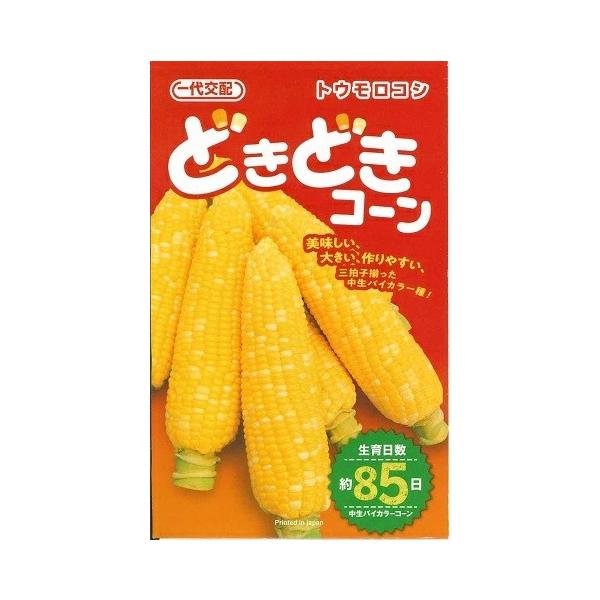 ●トンネル〜露地栽培に適する生育日数85日程度のバイカラーコーンです。●発芽、初期生育がよく、倒伏にも強い、作りやすい品種です。●穂重は450〜500g程度で大きく、先端不稔と露出が少ないです。●黄と白の大粒で、列揃いがよく、形の良い穂です...