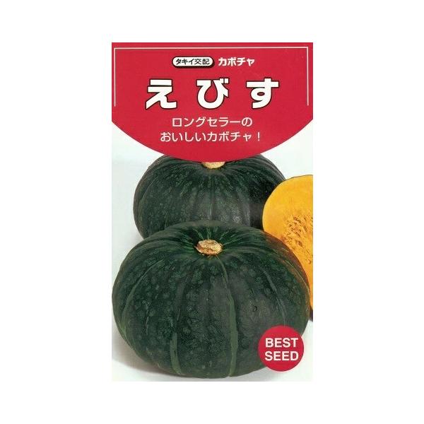 ●着果と肥大性にすぐれる多収種。●果重1.7〜1.9kg程度によくそろい、果形は扁円球。●果皮は濃緑色でちらし斑が入る。●果肉は濃黄色で厚く、肉質はやや粘質で食味良好。●環境適応幅が広く、安定した生産が可能。●交配後45〜50日で収穫を迎える。