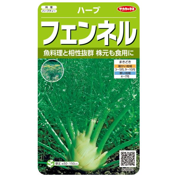 ●株元が肥大するフローレンスフェンネルです。●「魚のハーブ」と呼ばれ、魚介類を使った料理との相性がよく、世界中で利用されています。●葉は風味付け、肥大した株元はサラダ、種は薬味、ハーブティー・菓子にも利用できます。＜タネまき＞●1m2当たり...