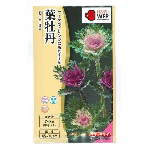 ●F1フェザー系のホワイト、レッド2品種の混合。●アブラナ科●F1高性切葉種で葉は立性で着色部はコンパクトにまとまる。●上品で繊細、かつ整った葉型が魅力でグリーン葉牡丹としても楽しめる。●茎が長く伸び、冬の切り花で重宝される。●矮性の葉牡丹...
