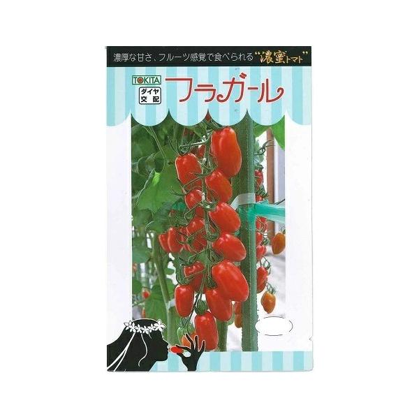 ●赤楕円形、果重18〜24g。●濃厚な甘みとバランスの良い酸味を持つ、他に並ぶものがないおいしさ。●生育後期には1段2花房（20-24果／花房）着果する。●ヘタ離れが良く収穫が容易で食べやすい。●モザイク病（ToMV Tm-1型）。