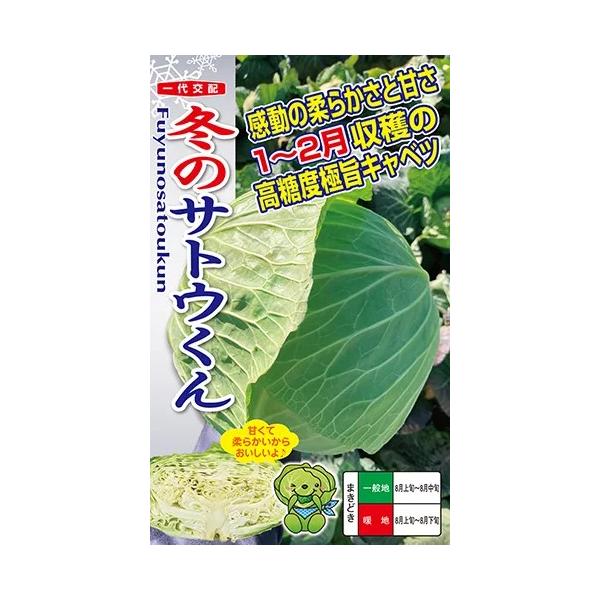 ●食味は一級品！●萎黄病抵抗性を有する。●平坦地の夏まき年内〜冬どりに適する。●極甘「サトウくん」に比べて耐寒性が向上し黒シミ症や腐敗にも強い。●極甘「サトウくん」に比べて裂球が遅く在圃性に優れる。＜栽培のポイント＞●極甘「サトウくん」に比...