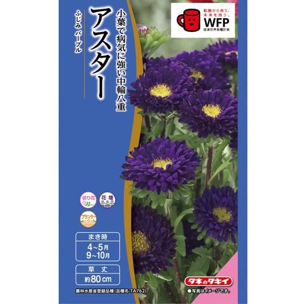 ●花径5cm程の八重咲品種です。●花の芯が小さく花形が美しいのも特長です。●連作で問題となる萎凋病に強くて栽培しやすく、株の上部で枝分かれするため切り花に適しています。