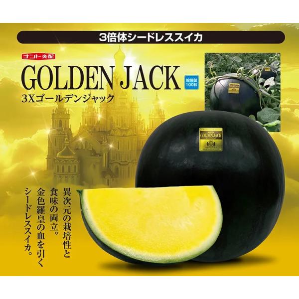 ●果重8〜10kgの正球形。●果皮は漆黒色で薄く縞が入り、果肉は濃いレモンイエローのシードレス。●糖度14度以上も無理なく狙え、高糖度。●果肉質は3倍体特有の繊維質が少なく食感に優れ、硬めでしっかりとした肉質でカット販売にも最適。●草勢はシ...