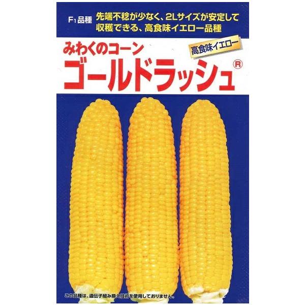 ●粒皮がやわらかく、さわやかな甘みがあり、後味すっきり。●中早生イエロー品種で、熟期は83〜84日。●良食味品種のなかでもかなりの早生性がある。●雌穂は2L以上で、先端不稔が少なくよくそろう。●皮色濃く、包皮つきの見栄えがよく、秀品率が高く...