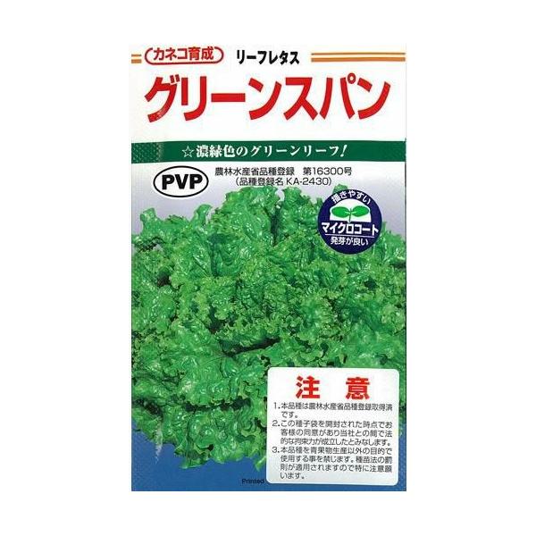 ●耐暑性と晩抽性に優れたグリーンリーフレタスです。●草勢は旺盛ですが、施肥に鈍感なので暴れによるねじれが少なく秀品率が高いです。●チップバーンになりにくく、細菌性の病害に強いので作りやすいです。●葉肉は厚く、また葉に適度なしなりがあるので、...