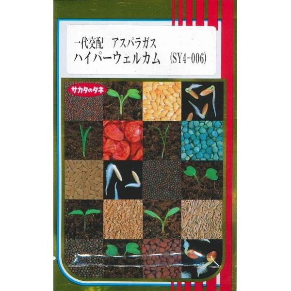 ※100粒規格は当店オリジナル白袋でのお届けとなります●「ウェルカム」に比べ、早生・多収の交配品種。●草勢が強く、雄株率は60〜70％と高いため、生育のそろいがよく作りやすい。●若茎は頭部の締まりがよく、形がまとまり、緑色が濃く鮮やか。●茎...