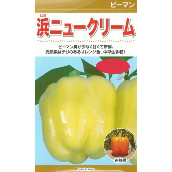 ●国内では珍しい、クリーム色のピーマンです。●中早生種で、果は最初からクリーム色に着色し、完熟果はオレンジ色に変化します。●果形は、獅子型で、一部尖り果が見られますが、小果（50g前後）から大果（100g以上）までいつでも収穫できます。●果...