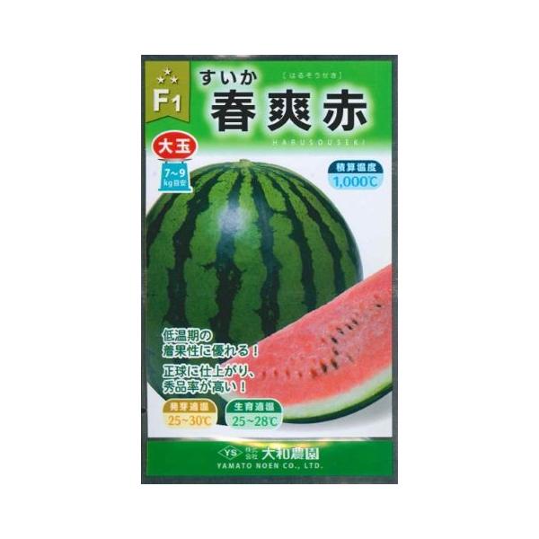 ●草勢は全生育ステージを通して強い。●低温少日照下での伸長性・着果性・肥大性に優れている。●果実は7〜9kgの正球に仕上がる。●果形が崩れにくく、秀品率が高い。●積算温度は1,000℃。●中心糖度は12〜13度。●果肉は均一な鮮桃紅色。●果...