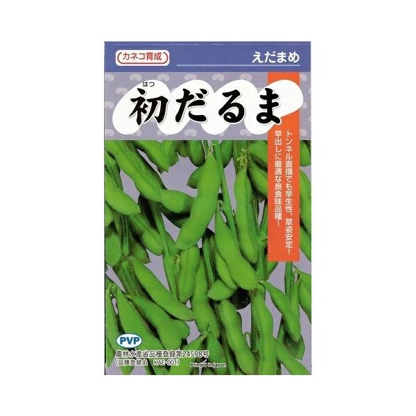 ●低温着莢性に優れたハウス・トンネル作型に最適な極早生品種です。●作型汎用性が広く、温暖期作型ほど在圃性が良好となります。●直播栽培でも徒長しにくく早生性が安定します。●甘みの強いレギュラータイプの良食味品種です。●莢は白毛・濃緑で3粒莢率...