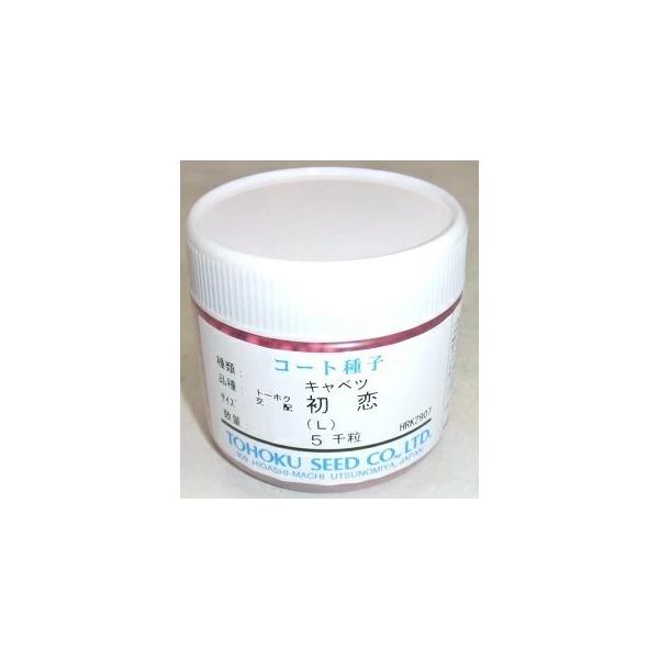 ●定植後60〜65日で収穫できる、春、夏まき用の良質な早生品種です。●食味は歯切れが良く、甘味もあり、生食に最適です。●いずれのは種期でも扁平球となり、球揃いが非常に良いので一斉収穫ができます。●草姿は外葉が小さくコンパクトで、密植栽培に適...