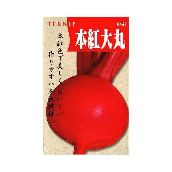 ●葉は緑色に赤色を配した色で、葉柄は赤色を帯びています。●根部は扁平型で根径10cm位、外皮は濃紅色で美しく形状よく揃います。●肉質は緻密で甘みに富み、浅漬け、酢漬け、塩漬けなどに最適。