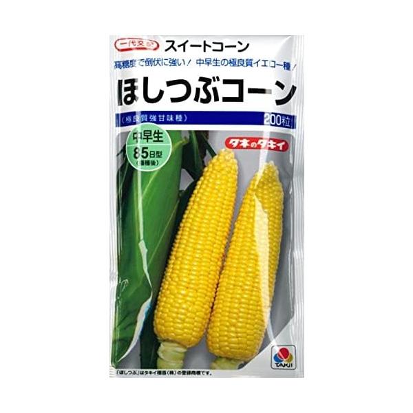 ●高糖度でおいしく倒れにくい。●良質性と栽培性を両立させた極良質イエロー種。●雌穂は苞葉付きで420g程度。●生育旺盛で栽培容易。●中間地のマルチ栽培では、タネまき後85日程度で収穫できる中早生種。●二次根の発達が旺盛で倒伏に強い！