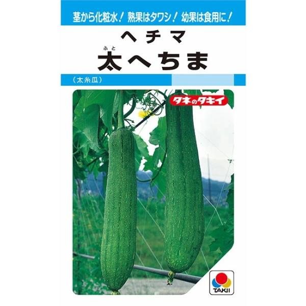 ●ウリ科のつる性1年草で、夏に黄色い花を咲かせる。●熟すると果肉内に網状の繊維が発達するので、これをタワシなどに利用する。●茎からとったヘチマ水は、化粧水などに利用されている。●未熟果の果肉部は酢の物、あえ物、炒め煮 などに食用される。