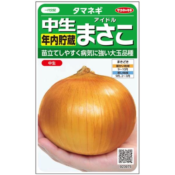 ●球肥大がよく大球に仕上がる、病気に強く作りやすい中生品種。●歯切れよく甘みの強いおいしいタマネギ。●球は偏円で、1球平均350g。●たくさんとれて、12月末まで貯蔵が可能。（適切な環境で貯蔵した場合）