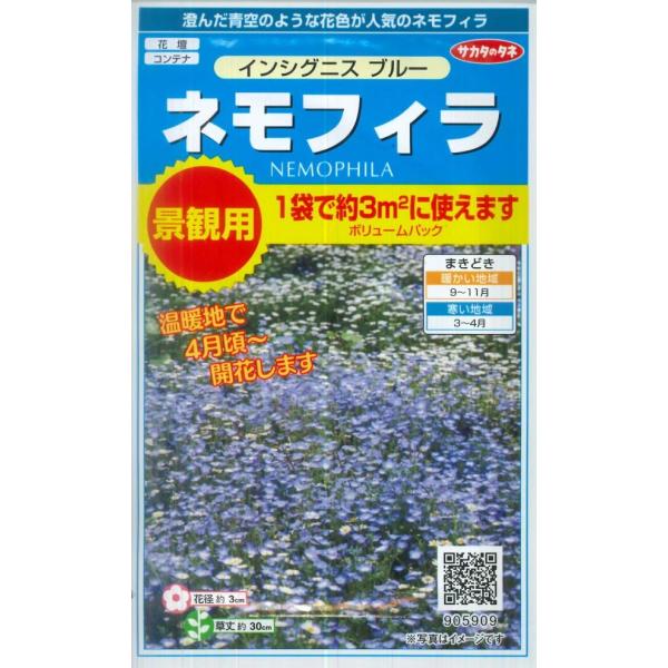 ●株張り約30cm、横に広がる草姿で、花壇だけでなくコンテナや釣り針にも向く丈夫でつくりやすい品種です。●花径約3cm、澄み切った青空のようなブルーは涼しげな色合いで人気があります。