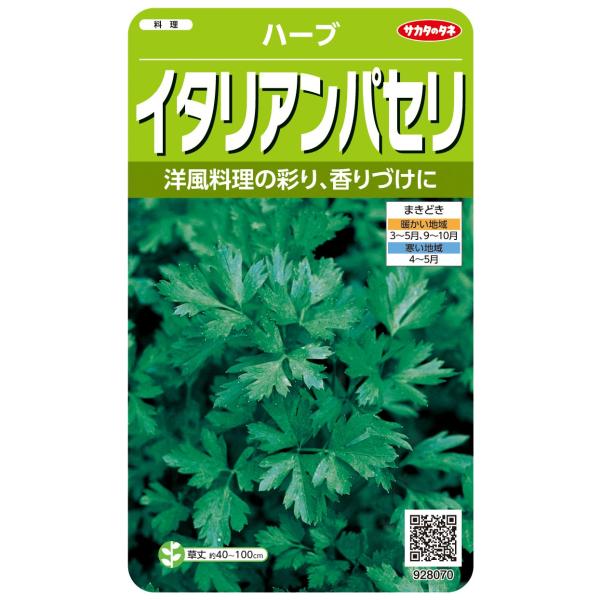 ●葉は縮れず平らで、強い香りと苦みがあり、洋風料理の味付けとして利用されます。●花壇やコンテナに植えてキッチンガーデンとして楽しみながら葉・茎を利用できる栄養価の高いハーブです。＜タネまき＞●秋または春まきできますが、寒さのきびしいところで...