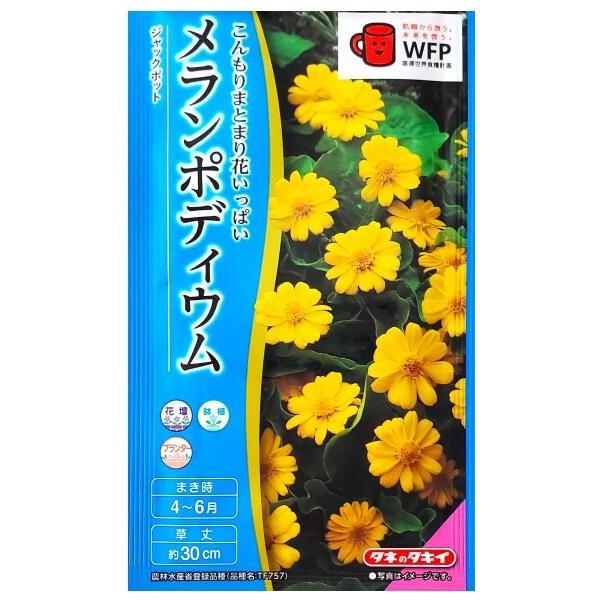 ●約2cmの小さな花がたくさん咲きます。●新しい花が、株全体を覆う様に古い花の上に咲くので、花がら摘みの手間もいりません。●株は比較的コンパクトにまとまり、ポットでも育てやすい品種です。