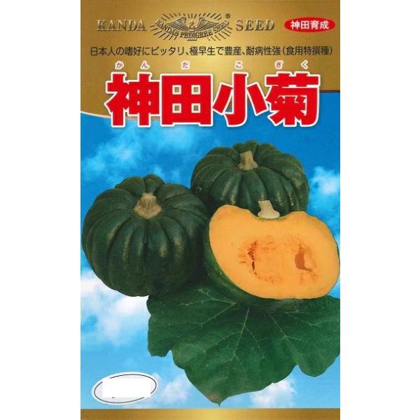 ●17〜20条の溝が通る美しいかぼちゃです。●玉揃いが良く黒緑色の光沢のある果皮に包まれ、甘味が強くさわやかな風味を持っています。●外食産業で人気の高い日本種かぼちゃの高級種。