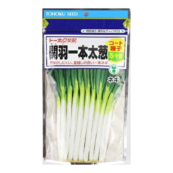 ●平坦地秋冬どり及び冷涼地秋どりに適する交配種です。●草姿は極立性、葉色は濃緑です。●草丈は中程度で葉伸びしにくいです。●また、葉質が硬く、葉折れが少ないです。●自身の太りはややゆっくりとした中生種です。●耐暑性強く、夏越しが強いです。●葉...