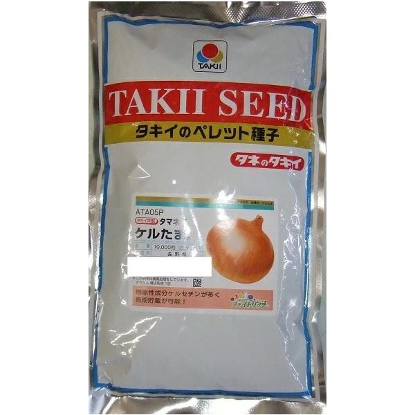 ●機能性成分ケルセチン（配糖体）を従来秋まきタマネギ（ネオアース）より豊富に含むため肉色はやや黄みを帯びる。●玉は中甲高球で、そろい・しまりとも良好。●皮は濃赤褐色でつやのある皮色。●熟期は晩生で１球平均280gに仕上がる。●草姿立性で葉色...