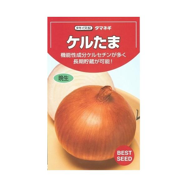 ●機能性成分ケルセチン（配糖体）を従来秋まきタマネギ（ネオアース）より豊富に含むため肉色はやや黄みを帯びる。●玉は中甲高球で、そろい・しまりとも良好。●皮は濃赤褐色でつやのある皮色。●熟期は晩生で１球平均280gに仕上がる。●草姿立性で葉色...