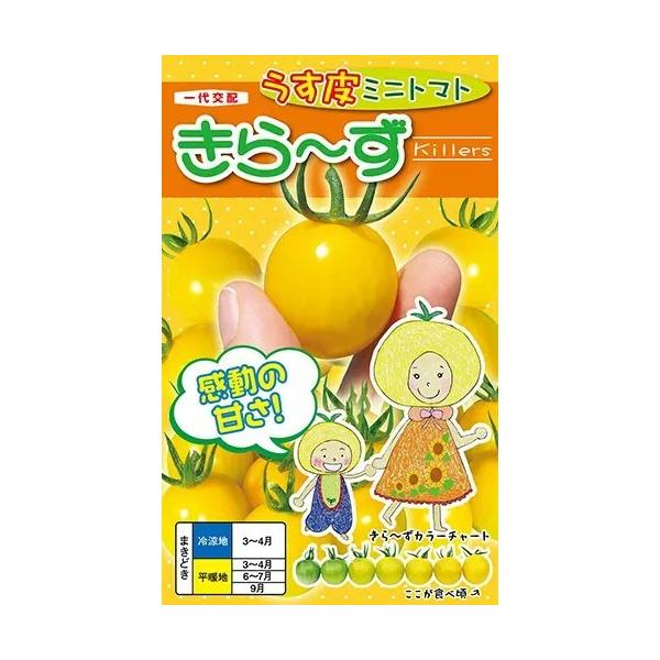 ●鮮やかなレモンイエロー色のうす皮ミニトマト。●ピンキーに準じるうす皮レベルで口の中に皮が残りにくい。●ピンキー同様に極早生で、花数多く、多収。●糖度高く、9〜10度内外。適度な酸味もあって非常に美味しい。●果重は15〜20g程度で裂果は少...