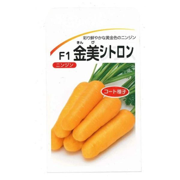 【草姿】●播種後120 日程度で収穫できる夏まき専用中晩生種。●草姿は立性で、機械収穫に向く。【根部】●長めの円筒形で尻詰りがよく、根長22cm 程度となる。●金美プラスよりも鮮やかなレモンイエロー色。●肌つやは良く、皮目が目立たないため、...