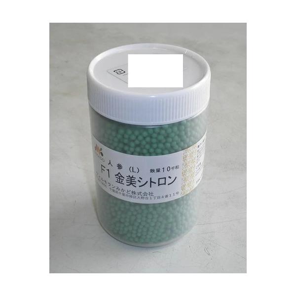 【草姿】●播種後120 日程度で収穫できる夏まき専用中晩生種。●草姿は立性で、機械収穫に向く。【根部】●長めの円筒形で尻詰りがよく、根長22cm 程度となる。●金美プラスよりも鮮やかなレモンイエロー色。●肌つやは良く、皮目が目立たないため、...