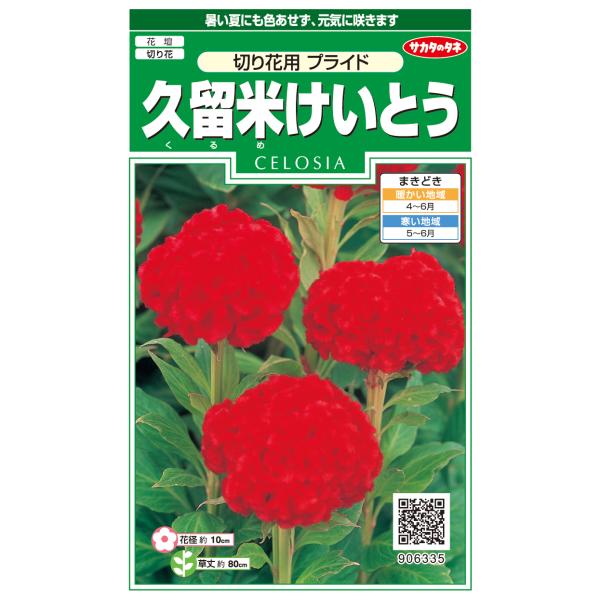 ●切り花向けに改良された久留米系で色あせしにくい緋赤の品種です。●緑軸で種まき後、約70日で花が上がる早生種で株間を広げて植えると花壇向けに密植にすると切り花向けになります。