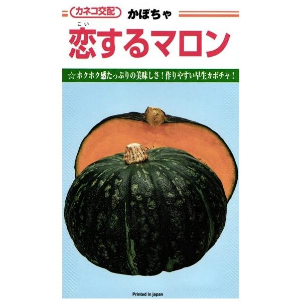 ●果実は2.0kg前後の大きさです。●果形は扁円形で、揃いが良いです。●果皮は黒緑色で緑のかすり斑が入ります。●果肉は濃黄色で、調理後の色がきれいです。●肉質は極粉質でホクホク感が強く、食べやすい食感で、食味が良いです。●葉は中くらいの大き...
