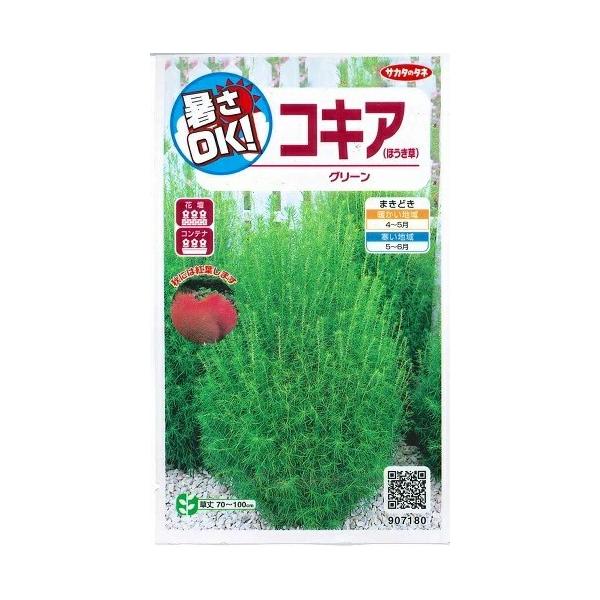 ●夏の姿は涼しげなライトグリーン、秋の姿は温かみのある紅葉を楽しめます。●また、株全体を乾燥してくさぼうきに利用されます。●花壇やコンテナのアクセントになります。