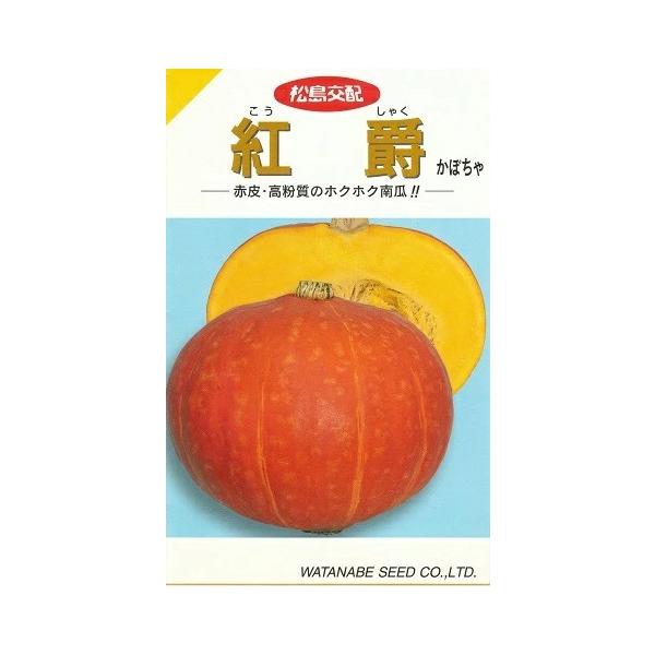 ●赤皮南瓜としては、抜群の粉質で、食味の良い品種です。●果色は朱紅色で、果重1.8kg位、果形はハート形です。●開花後45〜50日位で、収穫期に達します。●収種後、2〜3ヶ月程度貯蔵ができます。●甘みに富んだ食味は煮物に好適で、またフライ・...