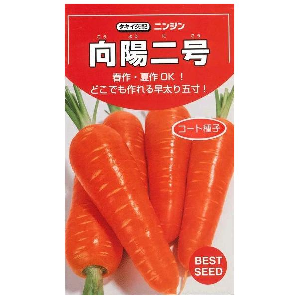 ●耐病性・日持ち性にも優れます。●向陽二号は市販品種の中でも排水不良が要因のしみ症などに安定した耐病性を持っています。●また販売の店頭においても優れた日持ち性を示しています。